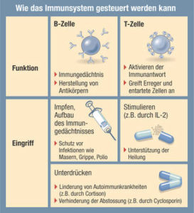 3. Aktive und passive Immunisierung - Biotech Lerncenter